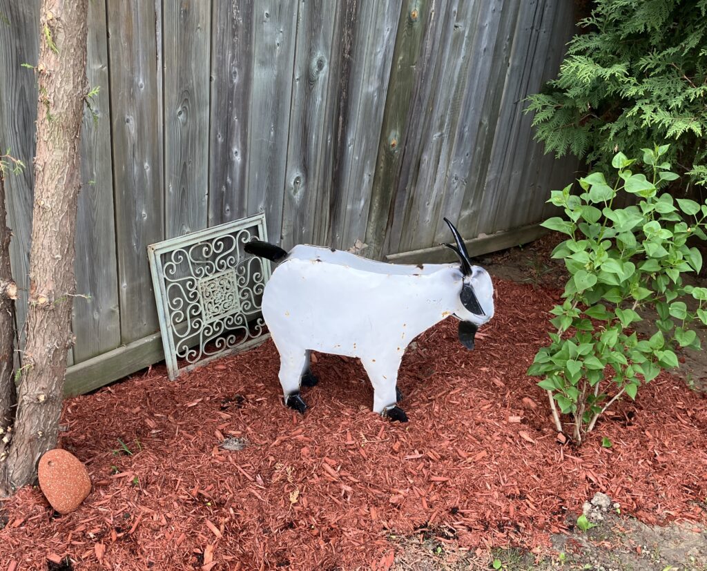 Hunting for hag stones and more... - Laura Loney